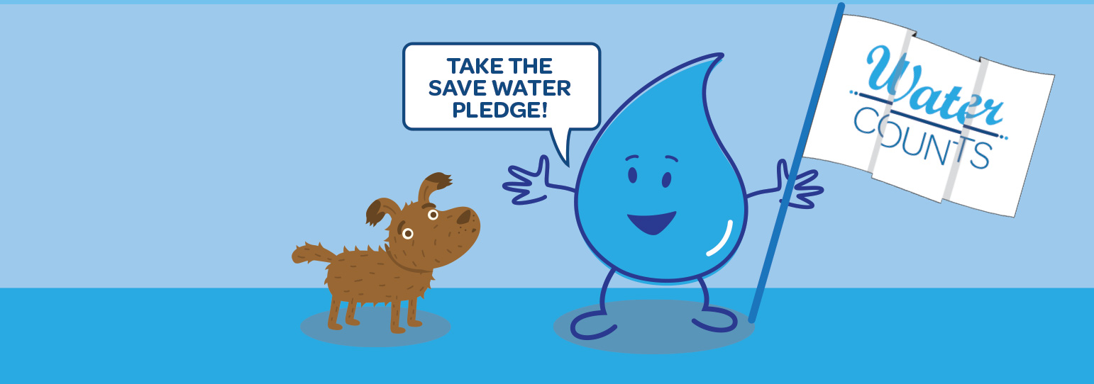 Save Water Pledge - CV Water Counts
