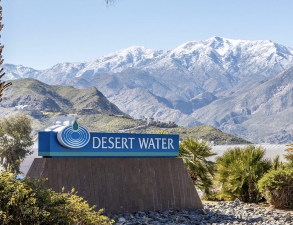 Plant of the Month: Trailing Dalea (Dalea Greggii) - CV Water Counts