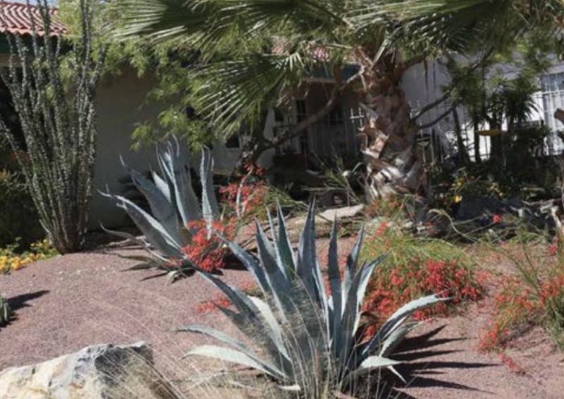 Landscaping Tip of the Month: Do Your Homework - CV Water Counts