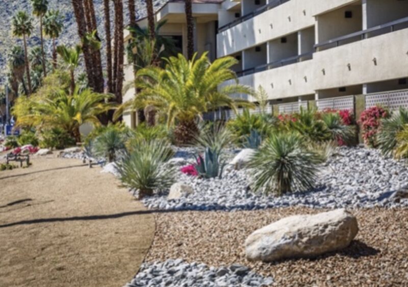 Landscaping Tip of the Month: Replace Turf with Low-Water-Use Plants ...