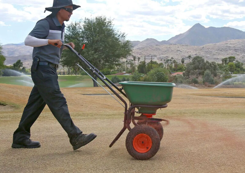 Alternatives To Overseeding Your Lawn This Fall - CV Water Counts