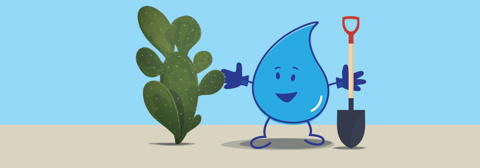 Webinars - CV Water Counts