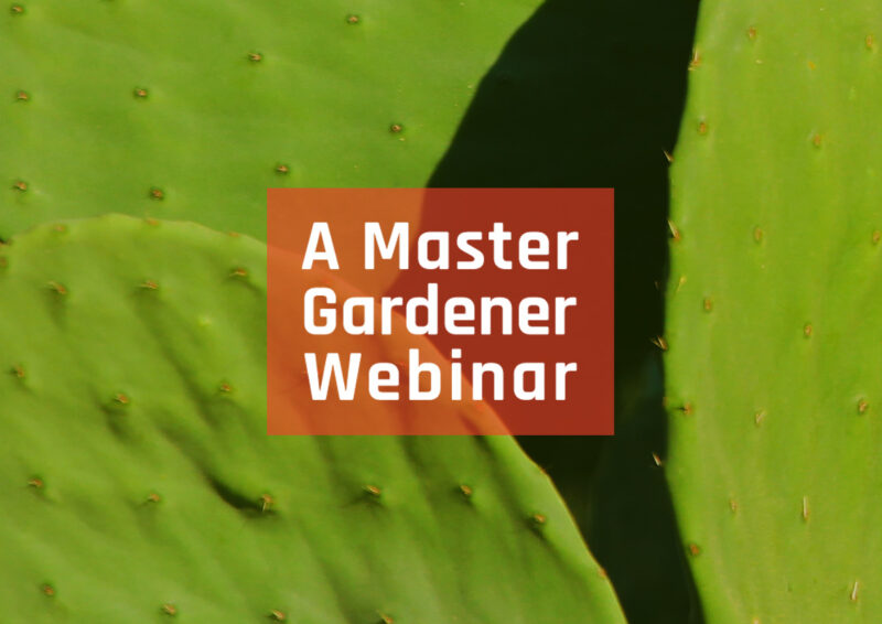 Integrating Native Plants Into Your Home Landscape - CV Water Counts