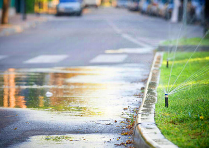 Landscaping Tip Of The Month: Four Ways To Be More Water-Efficient In ...